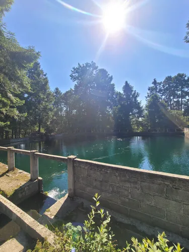 Best Forest Trails in Parque Ecoturístico Dos Aguas | AllTrails