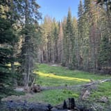 Muir Grove Trail, California - 344 Reviews, Map | AllTrails