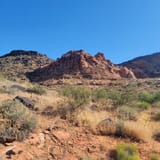 Chuckwalla Trail, Utah - 800 Reviews, Map | AllTrails