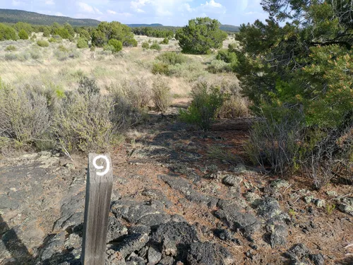 Best Hikes and Trails in Cebolla Wilderness | AllTrails