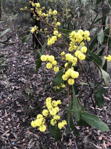 Best Hikes and Trails in Walmer Forest Reserve | AllTrails