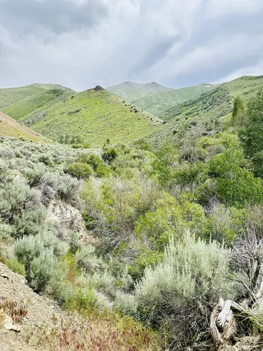 Best Hikes and Trails in Santa Rosa-Paradise Peak Wilderness | AllTrails
