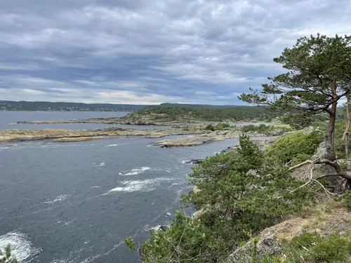 Best Hikes and Trails in Langesundstangen nature reserve | AllTrails