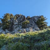 Mores Mountain Loop, Idaho - 415 Reviews, Map | AllTrails