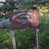 Mores Mountain Loop, Idaho - 415 Reviews, Map | AllTrails