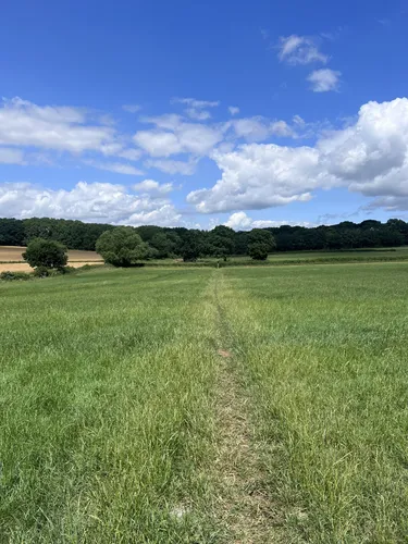 10 Best Trails, Walks, and Paths in Derby | AllTrails