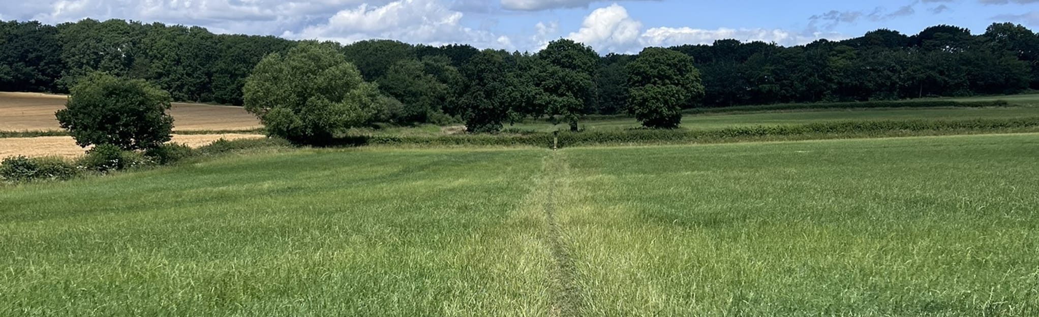 AllTrails | Radbourne Circular: 47 Reviews, Map - Derbyshire, England