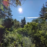 Mores Mountain Loop, Idaho - 415 Reviews, Map | AllTrails
