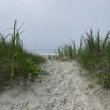 Black Point Trail, Rhode Island - 670 Reviews, Map | AllTrails