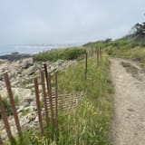 Black Point Trail, Rhode Island - 670 Reviews, Map | AllTrails