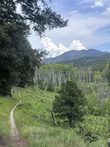 10 Best Trails and Hikes in Butte | AllTrails