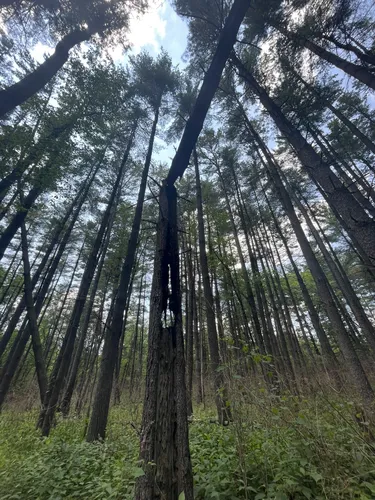 Best Hikes and Trails in August A Busch Memorial Conservation Area ...