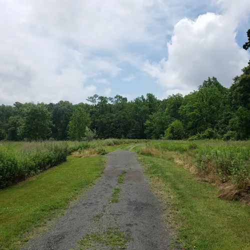 Melhores caminhadas e trilhas em Benjamin Rush State Park | AllTrails