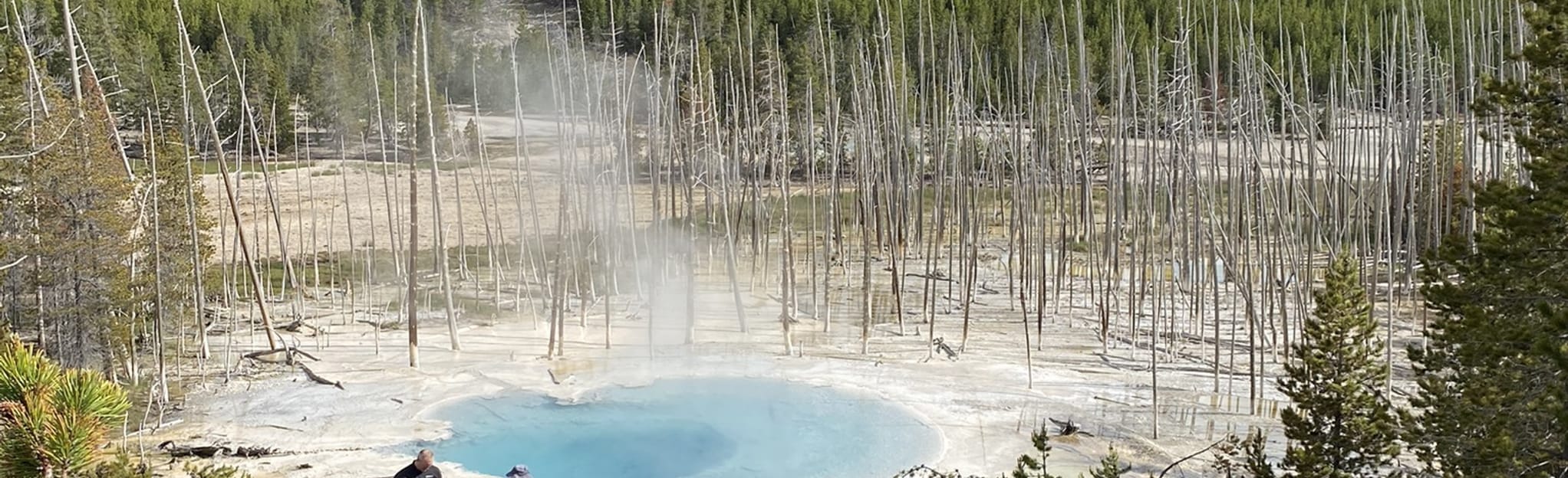 Back Basin Trail, Montana - 385 Reviews, Map | AllTrails