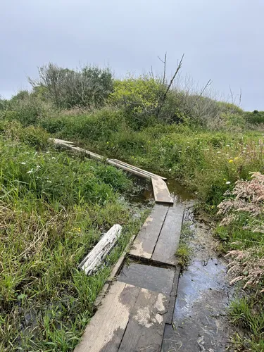 Best Hikes and Trails in Little River State Beach | AllTrails