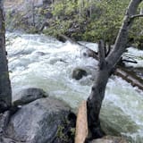 Ladybug Trail, California - 250 Reviews, Map | AllTrails