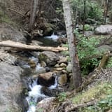 Ladybug Trail, California - 250 Reviews, Map | AllTrails