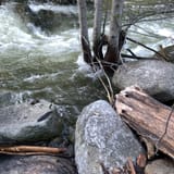 Ladybug Trail, California - 250 Reviews, Map | AllTrails