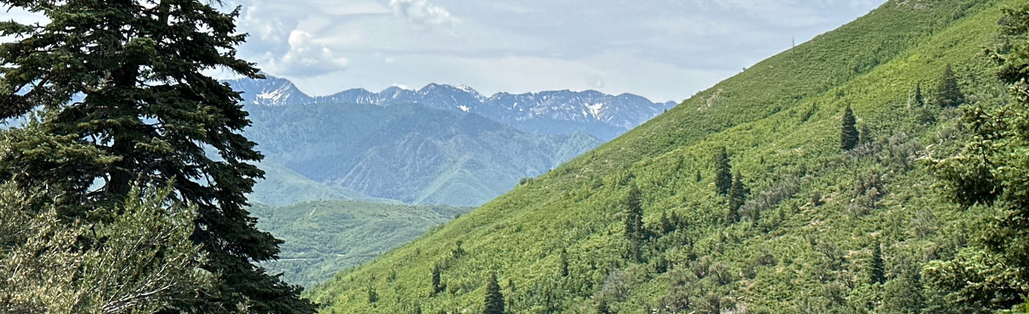 Emigration Canyon Miners Trail, Utah - 707 Reviews, Map | AllTrails