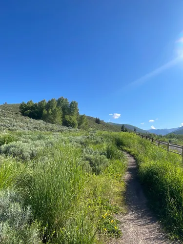 10 Best Trails and Hikes in Sun Valley | AllTrails
