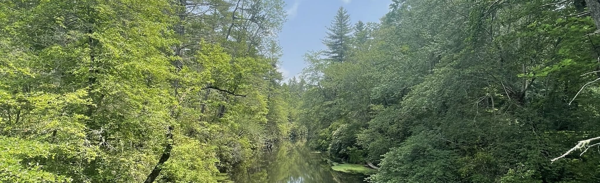 Dupont, Reasonover and Turkey Knob Loop, North Carolina - 26 Reviews ...