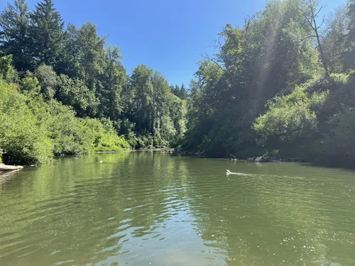 Best Hikes and Trails in Joe Dancer Park | AllTrails