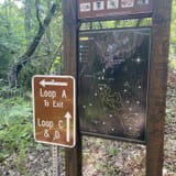 Lindsey Park Trail, Texas - 495 Reviews, Map | AllTrails