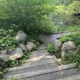 Dow Gardens Canopy Walk, Michigan - 138 Reviews, Map | AllTrails