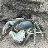 Magens Bay Beach Trail, Saint Thomas, US Virgin Islands - 349 Reviews ...