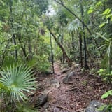 Magens Bay Beach Trail, Saint Thomas, US Virgin Islands - 349 Reviews ...