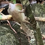 Magens Bay Beach Trail, Saint Thomas, US Virgin Islands - 349 Reviews ...