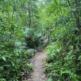 Magens Bay Beach Trail, Saint Thomas, US Virgin Islands - 349 Reviews ...
