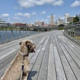 Providence River Walk, Rhode Island - 318 Reviews, Map | AllTrails