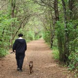 Elk Run, Virginia - 354 Reviews, Map | AllTrails