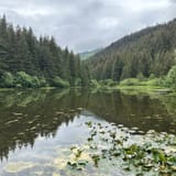 Two Lakes Trail, Alaska - 380 Reviews, Map | AllTrails