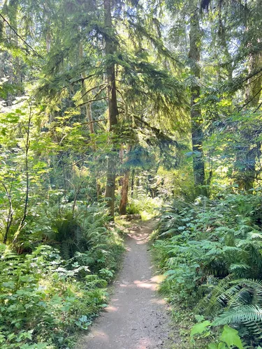 Best Hikes and Trails in Duthie Hill Park | AllTrails