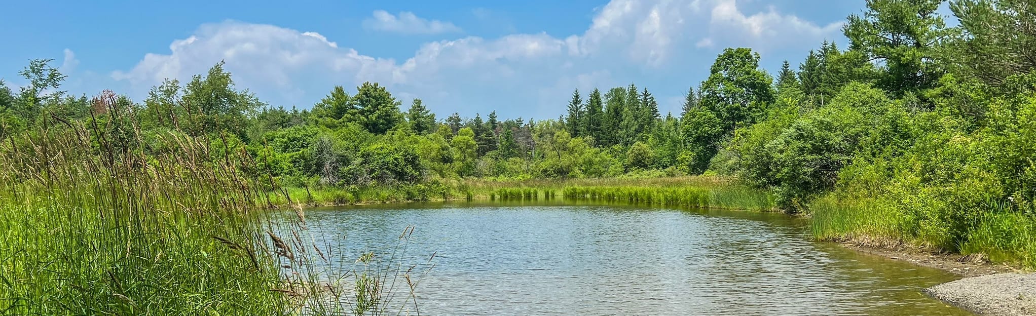 Thacher Park Grand Tour, New York - 100 Reviews, Map | AllTrails