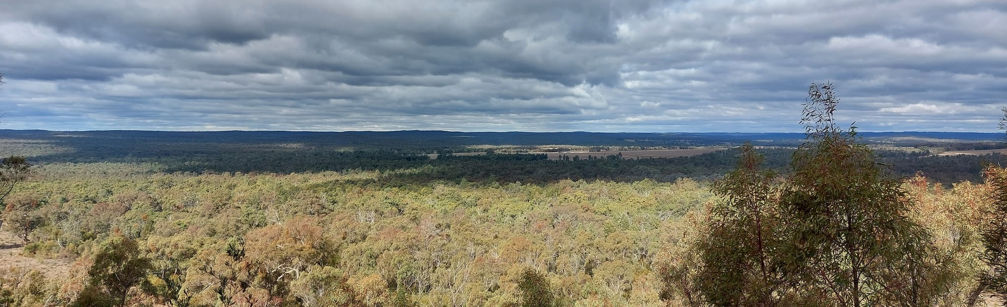 Sandstone Caves Circuit, New South Wales, Australia - 57 Reviews, Map ...