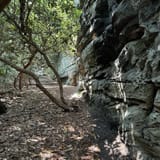 Rock City Trail, West Virginia - 525 Reviews, Map | AllTrails