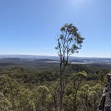 Spring Mountain Trail , Queensland, Australia - 280 Reviews, Map ...