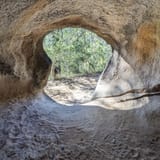 Spring Mountain Trail , Queensland, Australia - 280 Reviews, Map ...