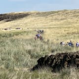 Towell Falls from Escure Ranch, Washington - 207 Reviews, Map | AllTrails