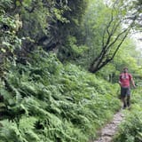Mount LeConte via Appalachian Trail and Boulevard Trail, Tennessee ...
