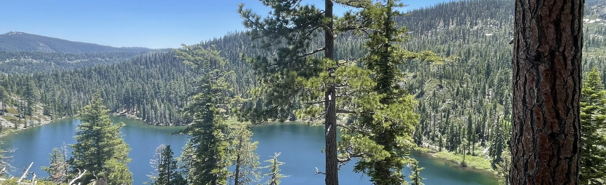 Smith Lake Trail to Grass Lake, California - 71 Reviews, Map | AllTrails