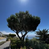 Cave Landing and Pirate's Cove from Shell Beach Bluff Trail, California ...