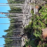 Marble River Trail , British Columbia, Canada - 153 Reviews, Map ...