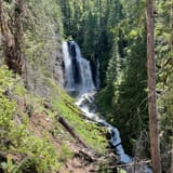 Linton Lake Trail, Oregon - 224 Reviews, Map | AllTrails