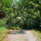 MoPac East Trail, Nebraska - 429 Reviews, Map | AllTrails