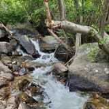 Burch Creek Trail, Utah - 777 Reviews, Map | AllTrails