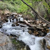 Burch Creek Trail, Utah - 777 Reviews, Map | AllTrails